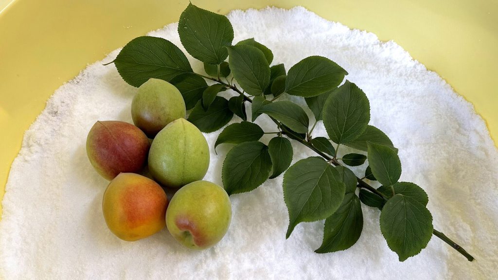 じぶん酵素ことはじめ（青梅） | 京・手作り酵素の会